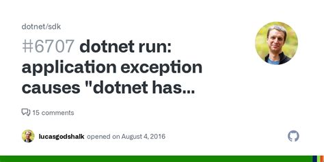 Dotnet Run Application Exception Causes Dotnet Has Stopped Working