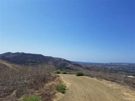Best Hikes And Trails In Descanso Veterans Park Alltrails