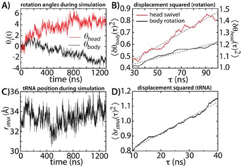 Estimating Diffusion Coefficients For Subunit Rotation And Trna Download Scientific Diagram