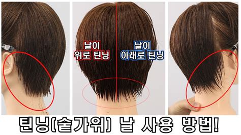 틴닝숱가위 날 사용 방법 커트베이직 커트교육 헤어디자이너 Youtube