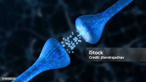 뉴런 및 시냅스 의학적 배경 연결에 대한 스톡 사진 및 기타 이미지 연결 전자 현미경 세포 Istock