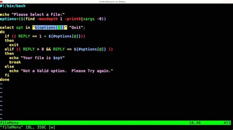 custom file selector in a linux shell script tutorial part 1 youtube