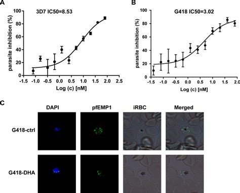 Combined Transcriptome And Proteome Profiling For Role Of Pfemp1 In