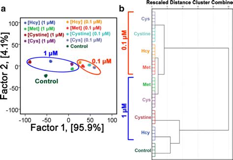 A Canonical Score Plot And B Hca Plot Of The Sensor Array For The Download Scientific