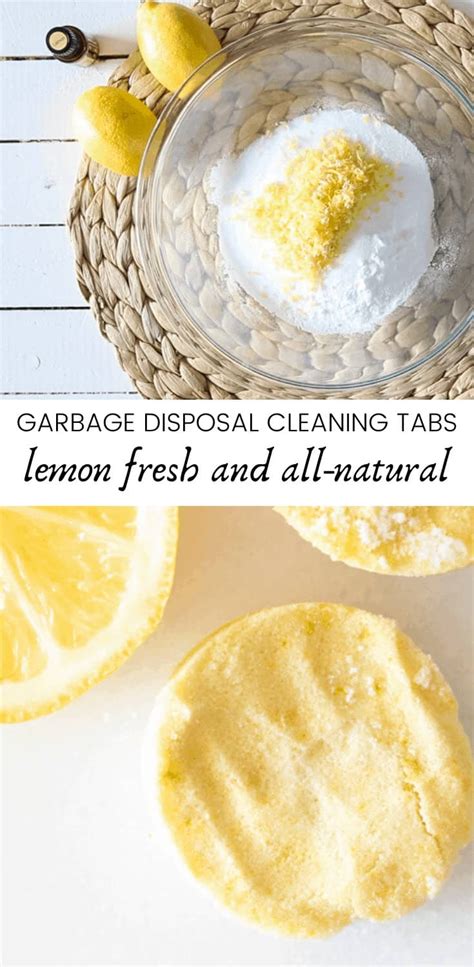 Deodorize Garbage Disposal Our Oily House