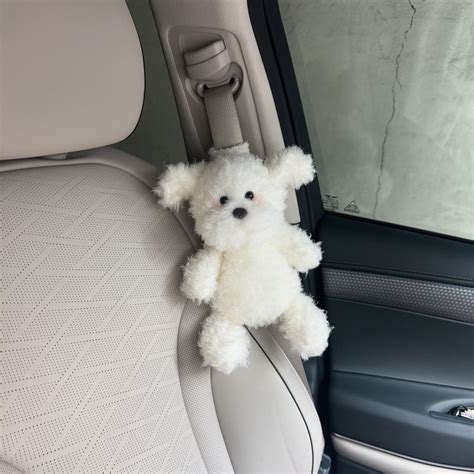 𝐋𝗜𝗧𝗧𝐋𝗘𝐋𝗜𝐌 리틀림 복실복실 복실이 도어넙 목도리 핀 세트 주문폭주 목도리랑 핀은 원하는대로 스타일링 가능하다구🤗 1 1 세트구성에 무배이벤트까지