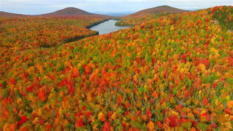 Fall Foliage In Groton Vermont Green Mountain Drone View