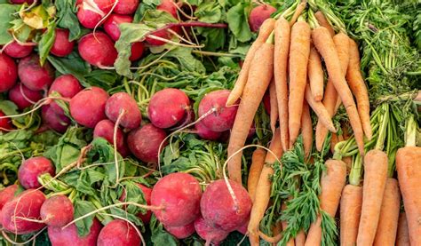 Why Carrots And Radish Are Better Off Without Transplanting Happiness Carrot