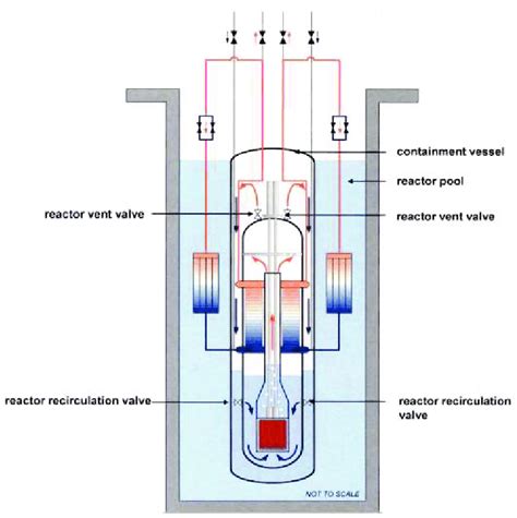 Schematic Diagram Of Eccs [10] Download Scientific Diagram