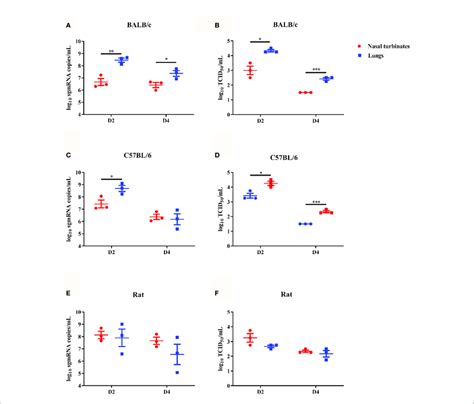 The Sars Cov 2 B1351 Variant Replicated Efficiently In Mice And Download Scientific Diagram