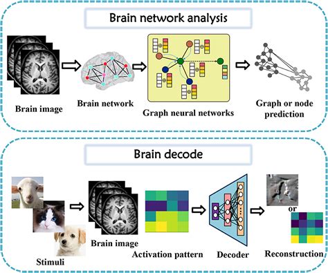 Frontiers Generative Ai For Brain Image Computing And Brain Network Computing A Review