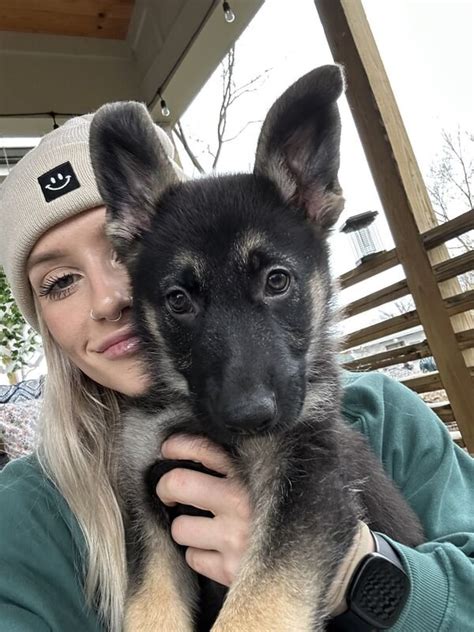 Girls With Puppies 35 Pics