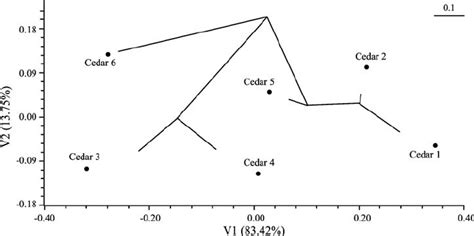 Chloroplast Microsatellite Cpssr Based Principal Coordinate Plot