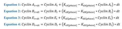 A Quantised Cyclin Based Cell Cycle Model
