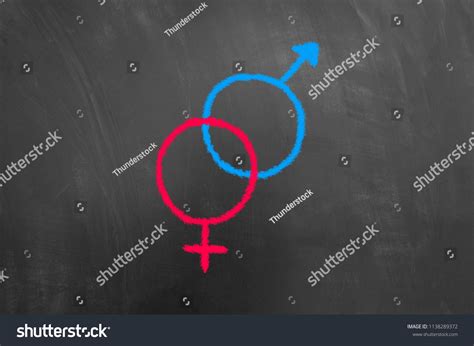 Gender Equality Sex Education Chalk Drawing Stock Illustration Shutterstock