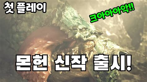 몬스터 헌터 와일즈 드디어 2025년 최고의 갓겜이 출시되었습니다 바로 달려보자 Youtube