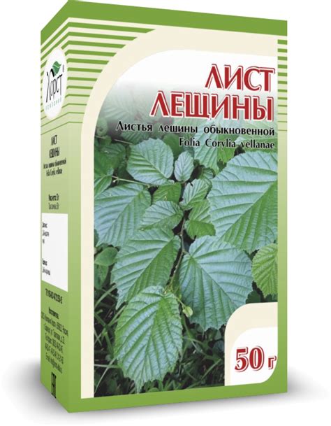 Компания ХОРСТ - ЛЕЩИНА, лист
