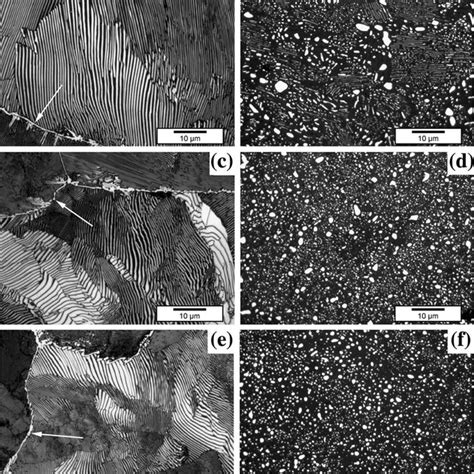 Microstructure Of 05cr Steel After Different Spheroidization Heat Microstructure Of 05cr Steel After Different Spheroidization Heat