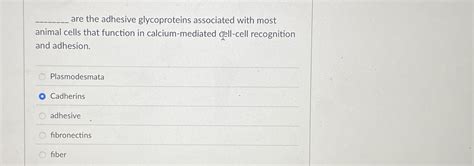 Solved Are The Adhesive Glycoproteins Associated With