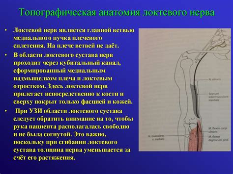 Ультразвуковое исследование периферических нервов - презентация онлайн