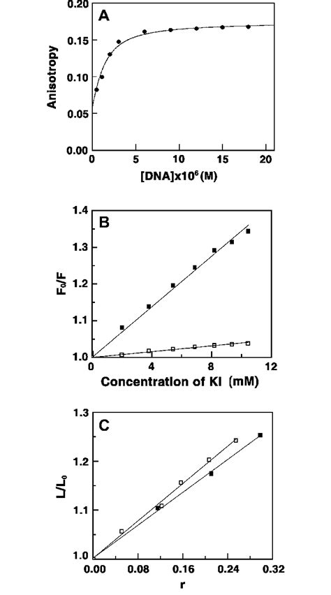 A Curve Fitting Analysis Of The Binding Isotherm Obtained From