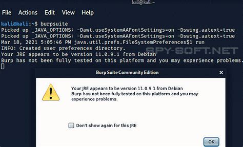 Пример SQL инъекции с помощью Burp Suite на DVWA