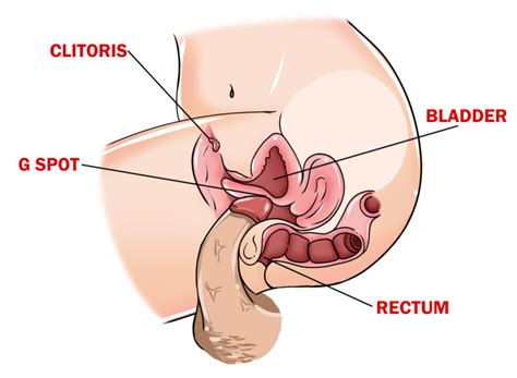 How To Do The Chair Sex PositionTips For Better Comfort Deeper Stimulation And More Spice