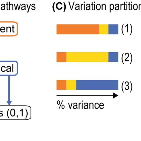 conceptual framework for partitioning unique and shared effects of