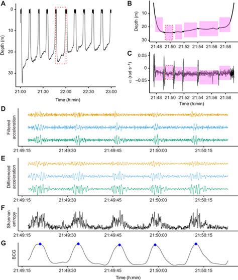 An Accelerometer Derived Ballistocardiogram Method For Detecting Heart