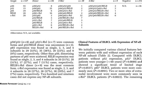 Expression Of Nf κb Subunit As Single Dimer 3 Mer And 4 Mer In De Download Table