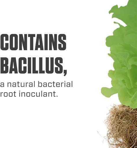 Botanicare Hydroguard Bacillus Root Inoculant 5 Gallon Luxury