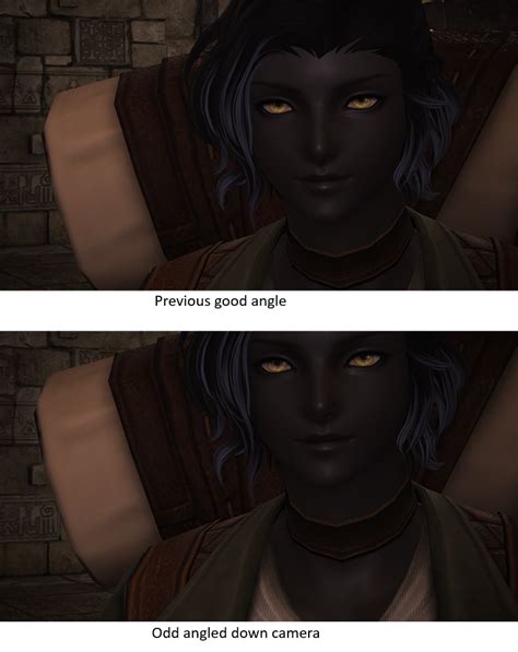 Cutscene Camera Angle Issue