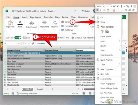 How To Insert An Excel Table Into Word Documents WinBuzzer