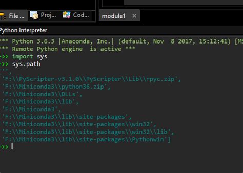 Pyscripter Bit Verison Watchdas
