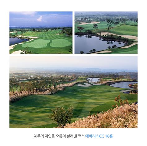 제주 에버리스cc 예약 제주골프부킹 제주골프투어 제주골프여행 제주도 단체골프 제주골프조인 제주골프패키지