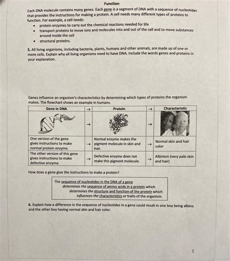 Solved DNA Structure Function And Replication DNA Molecules Chegg