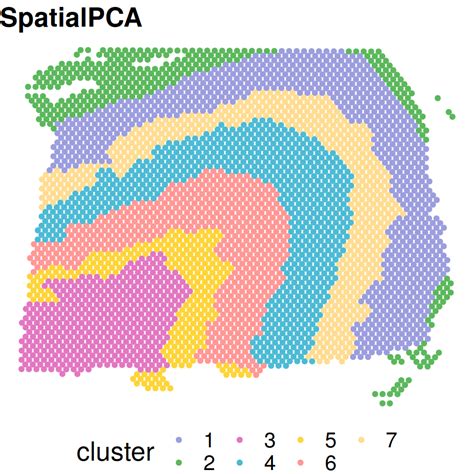 DLPFC Data Example