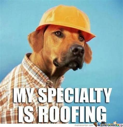 Mans Best Friend Is An Expert At Roofing More Funny Roofing Memes