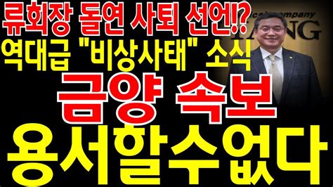 금양 주가전망 단독 류회장 돌연 사퇴 선언 거래정지에 역대급 비상사태 소식 하 진짜 용서할수없다 상장폐지 반드시 막아야 합니다 이제 이렇게 대응