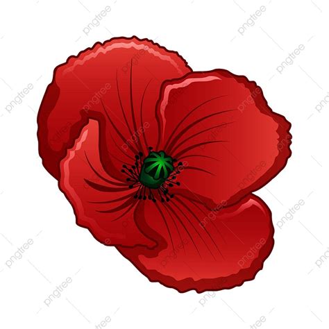 Top Poppy Cartoon Flower Tariquerahman Net
