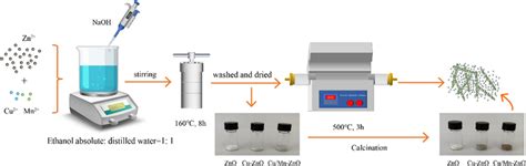 Synthesis Of Cumn Doped Zno Nanoparticles Download Scientific Diagram