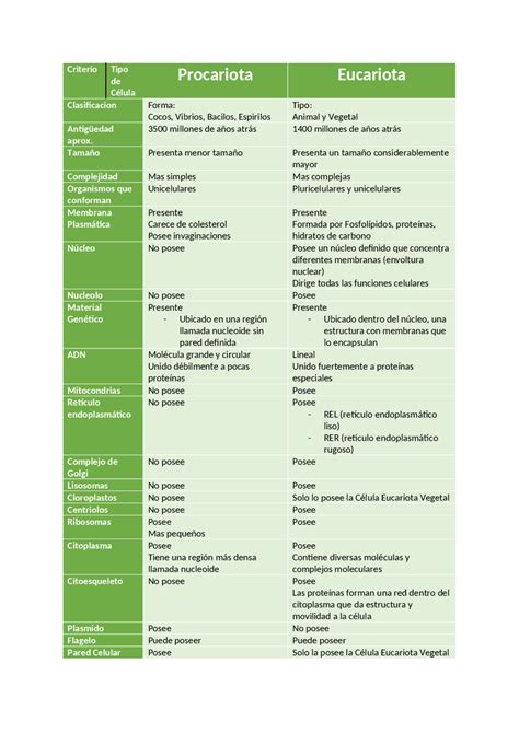Cuadros Comparativos Entre Clula Procariota Y Eucariota Cuadro