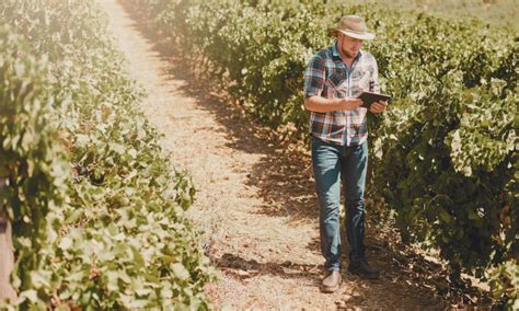 What Is Nbn Internet Connection Energy Matters