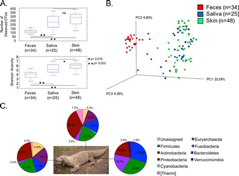 A Box And Whisker Plots Illustrate The Median Maximum Minimum And Download Scientific