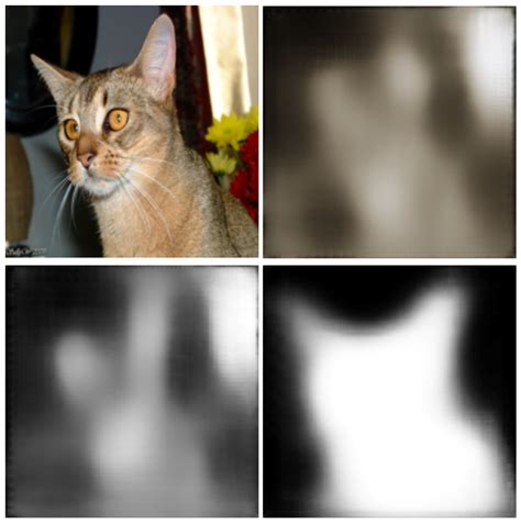 Using Segmentation To Boost Classification Performance And