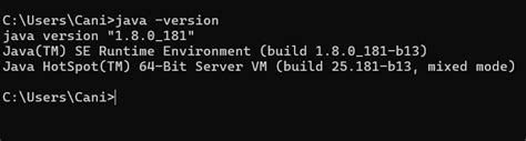 使用idea如何搭建java Web项目（servlet Jsp 篇） 猿先生