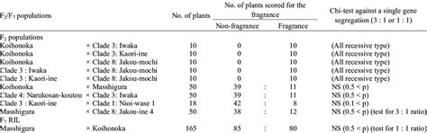 Allelism Test Of Fragrant Mutations Among Different Landraces And
