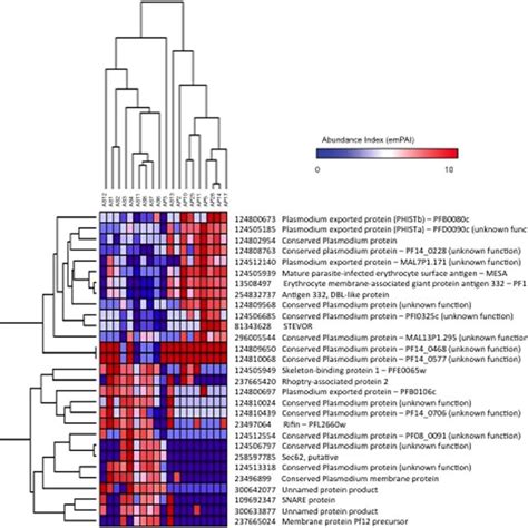 hierarchical clustering analysis based on the expression profile of the