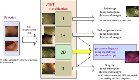 Clinical Impact And Characteristics Of The Narrow Band Imaging