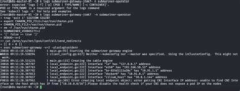 How To Solve This Problem · Issue 2171 · Submariner Iosubmariner Operator · Github